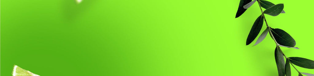 All Bags and Collections | SMELLY PROOF